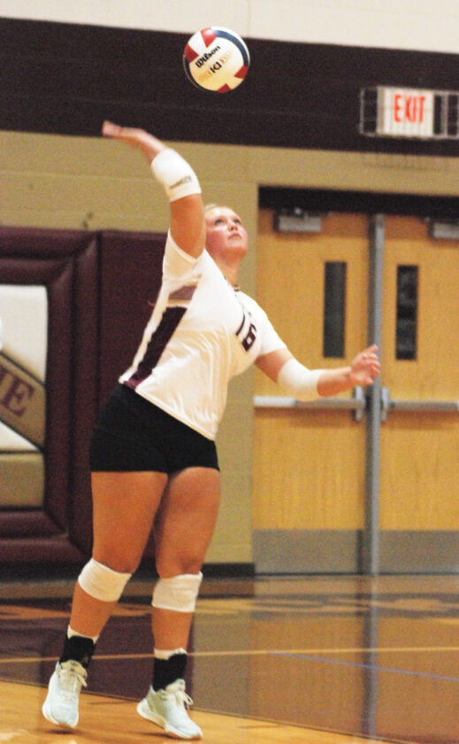 Kyndra Johnson serves Yellowjackets past Rebels | News, Sports, Jobs ...